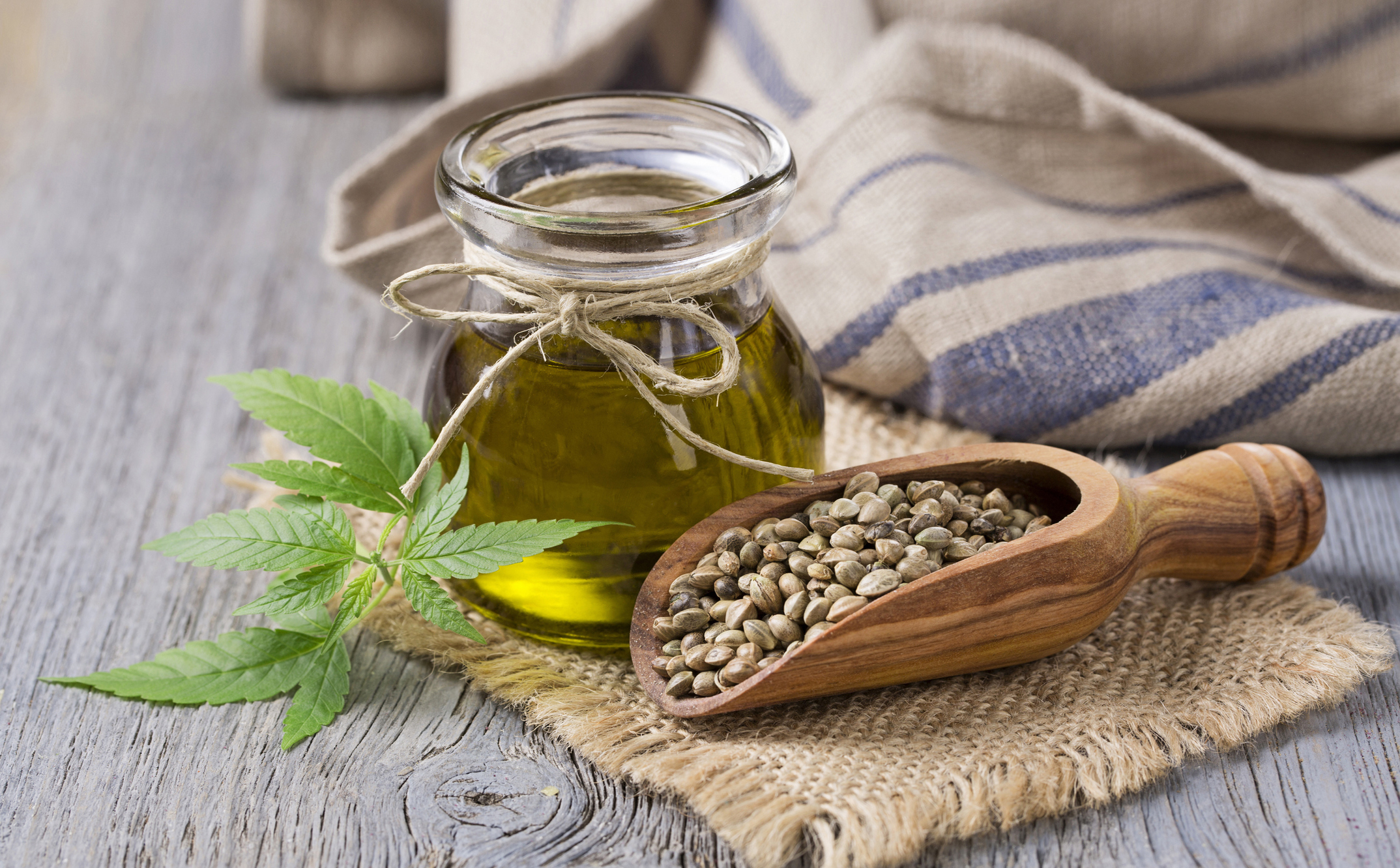 Hemp 101